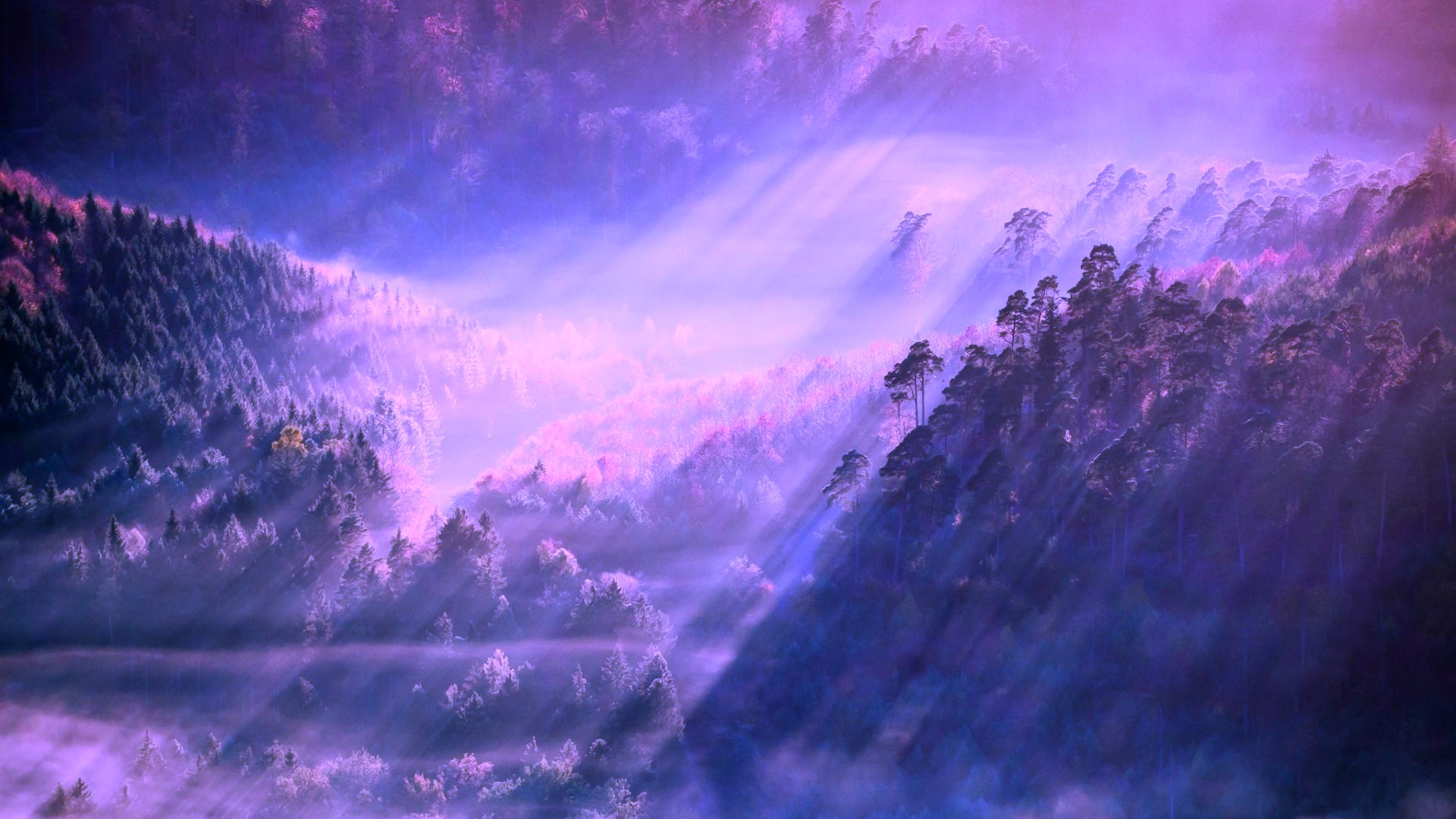 Computer Wallpapers Aesthetic Cute Wallpapers 2023